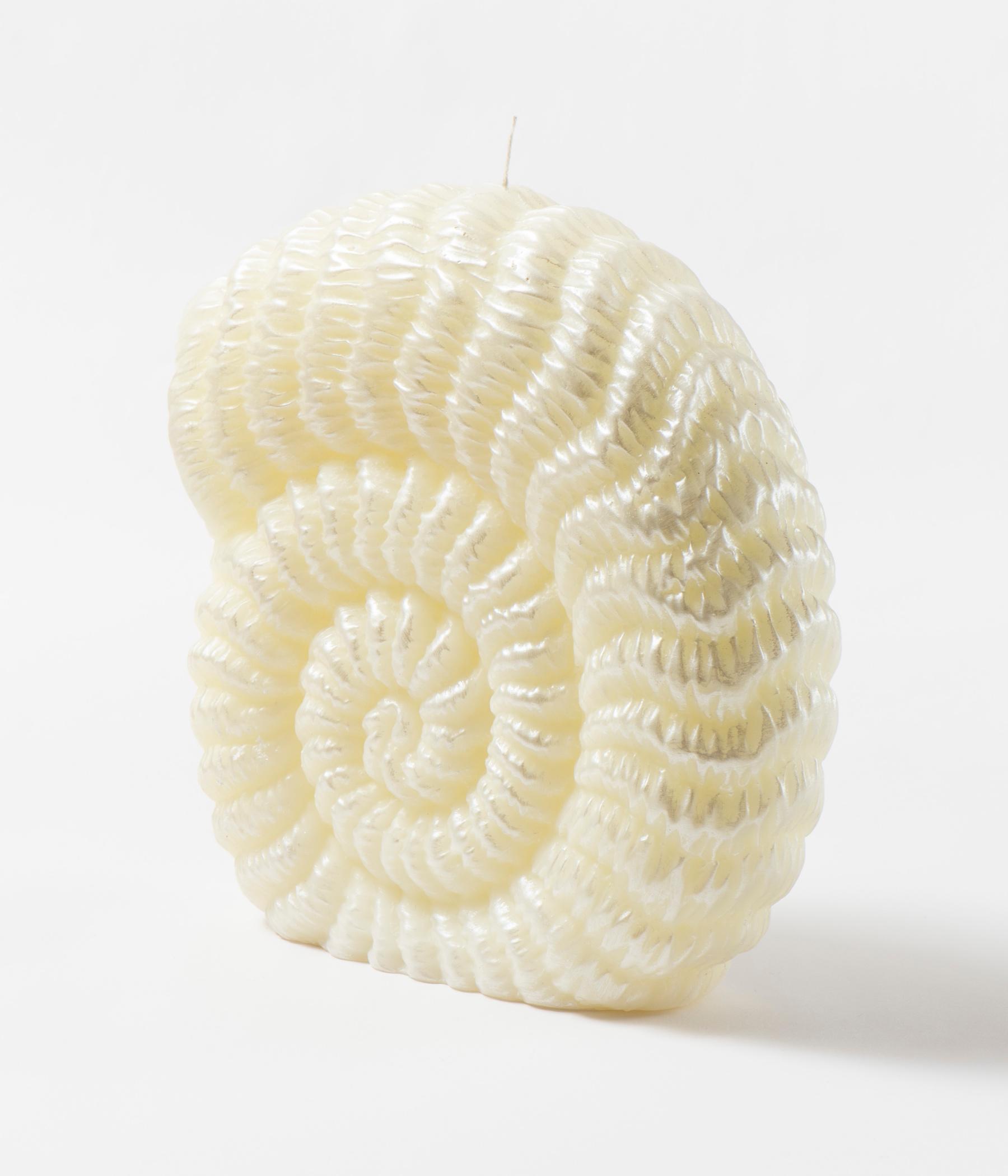 Ammonite shell candle - STYLNOVE line